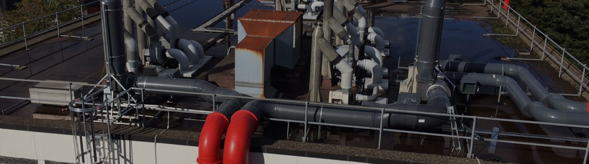 About Us | Glen Wilson